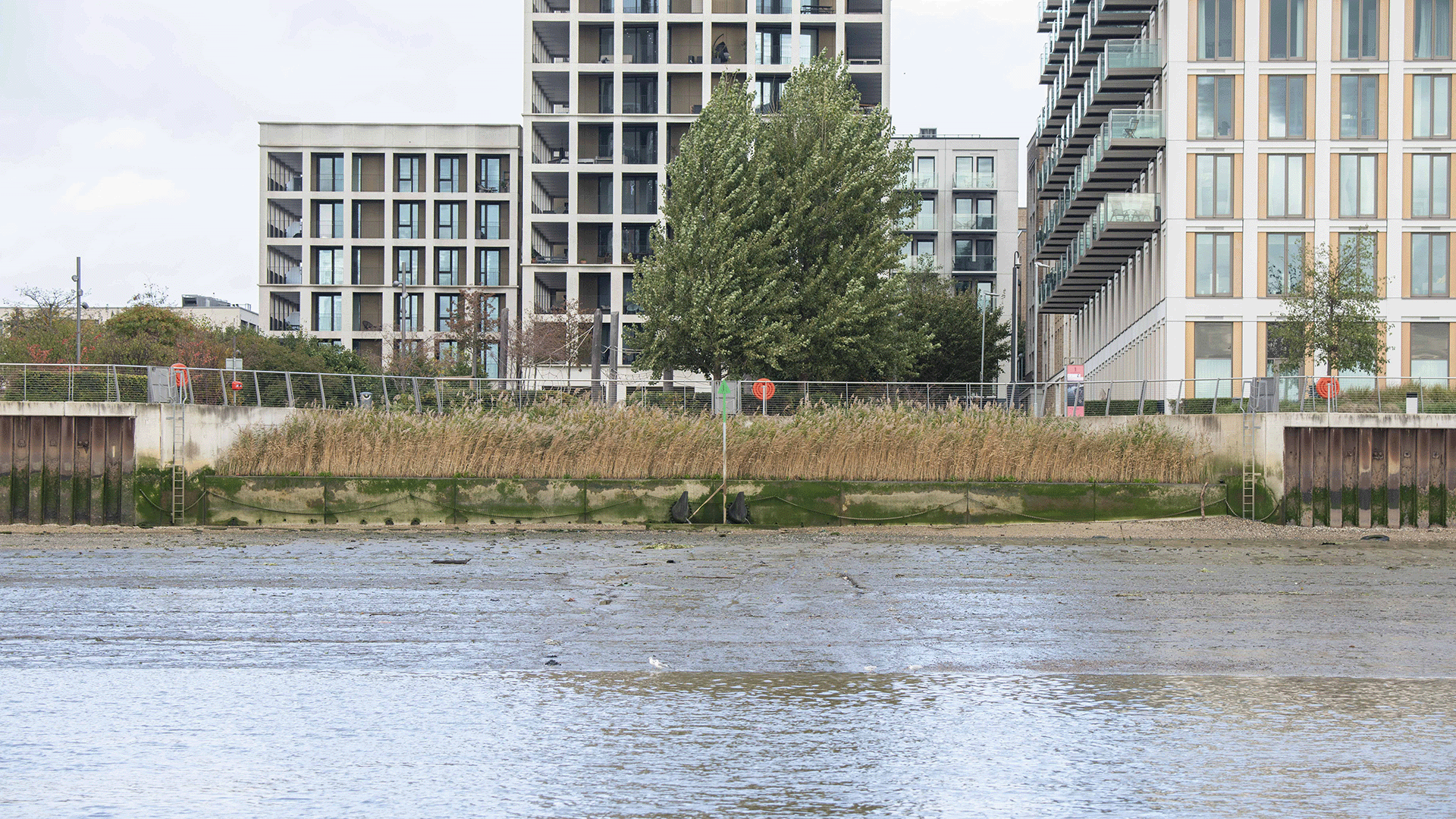 Second stage of Tidal Thames Masterplan launched | Port of London Authority